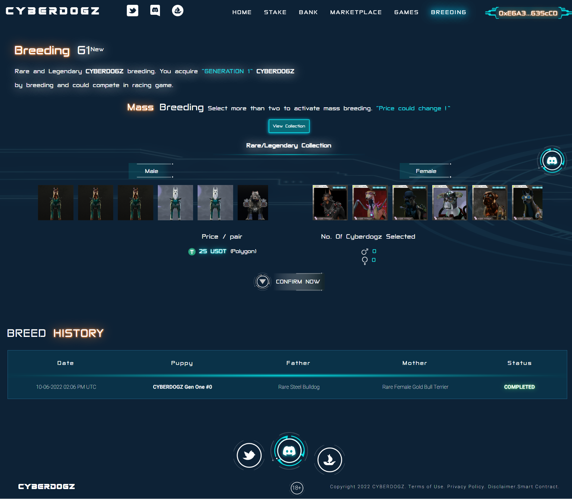 CYBERDOGZ MASS BREEDING NOW LIVE! – CYBERDOGZ Daily